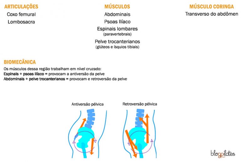 Trabalhando o equilíbrio pélvico no Pilates - Blog Pilates