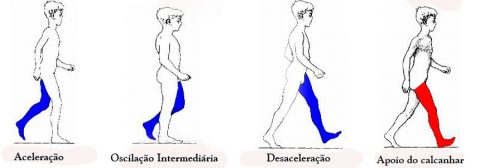 Fases da Marcha: Aplicação e Exercícios do Pilates | Blog Pilates