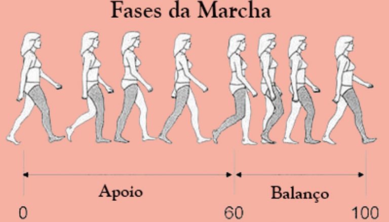 Fases da Marcha: Aplicação e Exercícios do Pilates - Blog Pilates - O ...