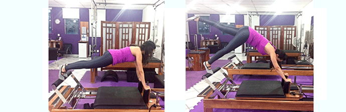 Elephant-no-reformer-com-o-tronco-invertido-e-apenas-um-dos-membros ...