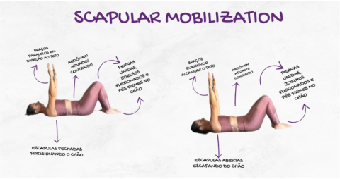 Scapular Mobilization - Pré-Pilates - Blog Pilates - O maior blog de ...